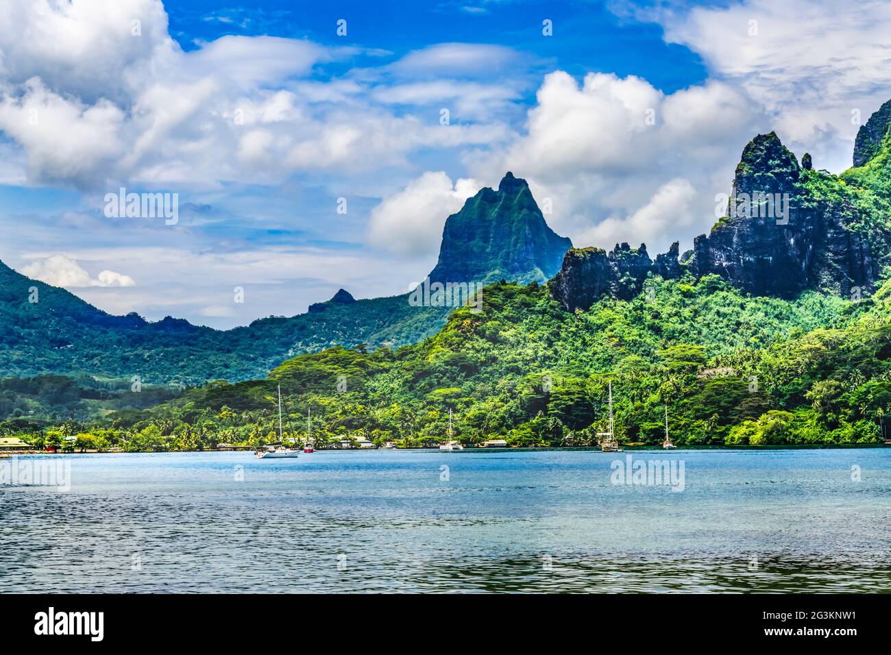 Colorful Cook's Bay Sailboats Mount Tohivea Highest Mountain Moorea ...