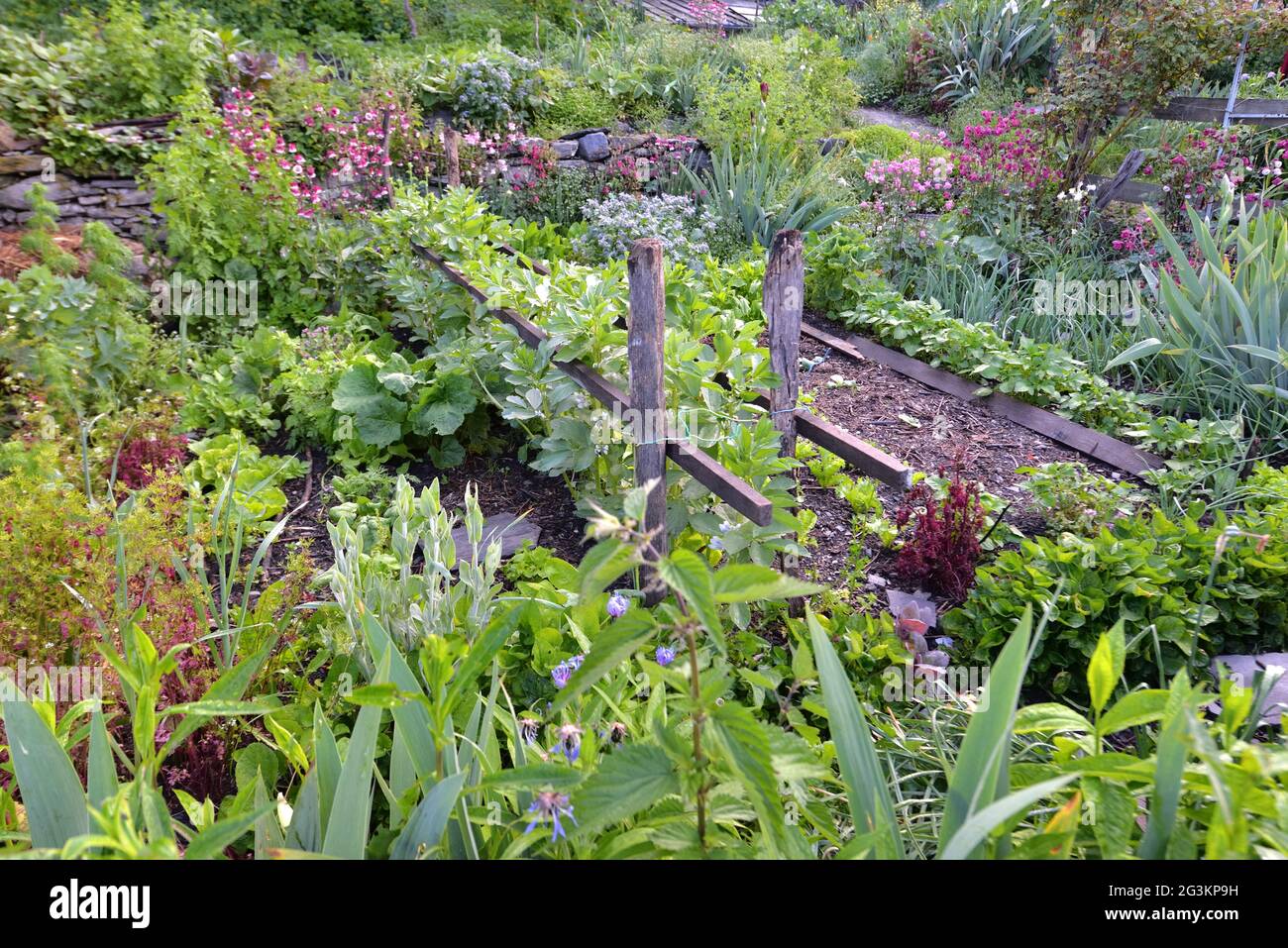 Well stocked garden hi-res stock photography and images - Alamy