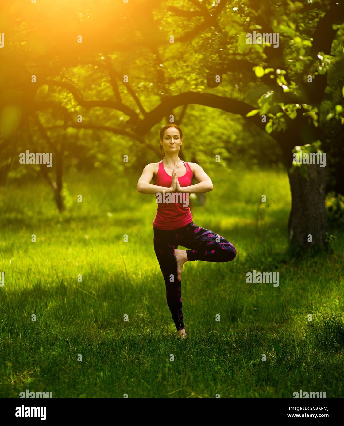 Young woman balancing in tree pose practicing yoga Stock Photo - Alamy