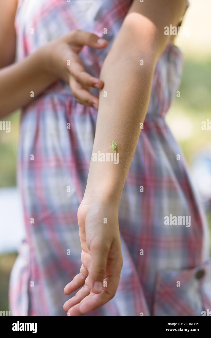 Girl with insect hi-res stock photography and images - Alamy