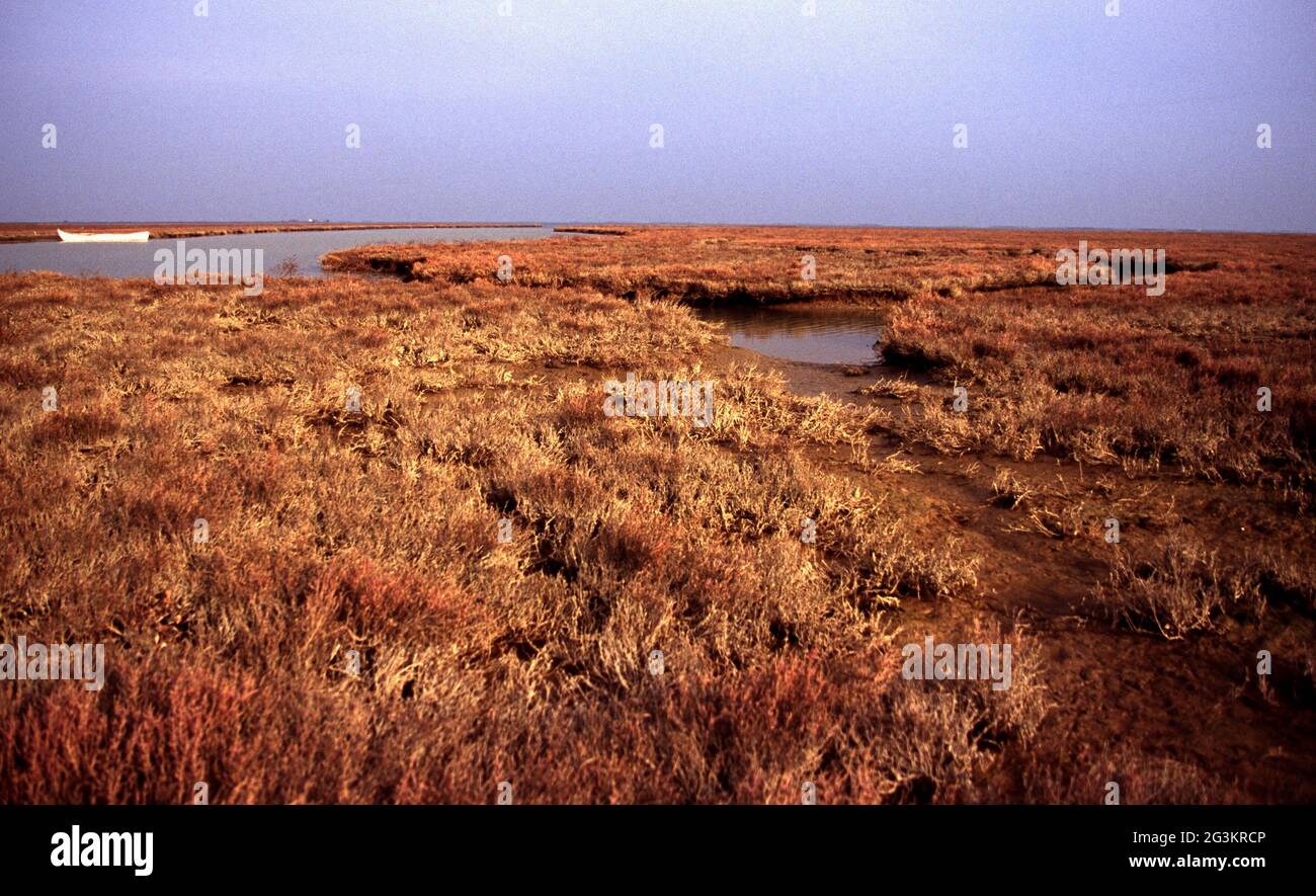 Axios Delta national park Stock Photo - Alamy