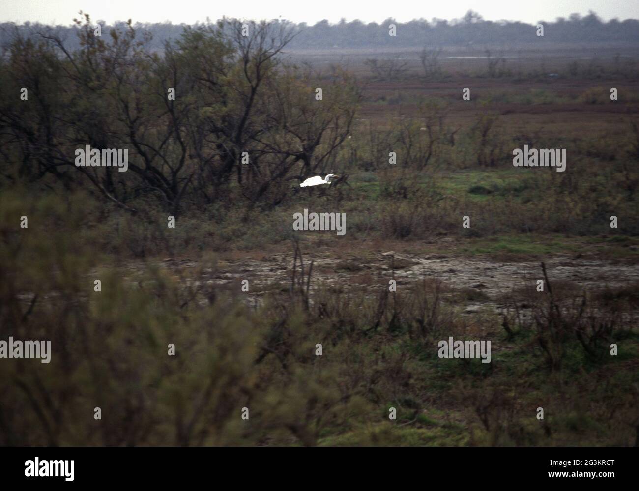 Axios delta national park hi-res stock photography and images - Alamy
