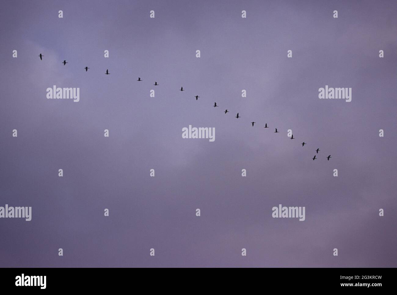 Axios national park hi-res stock photography and images - Alamy