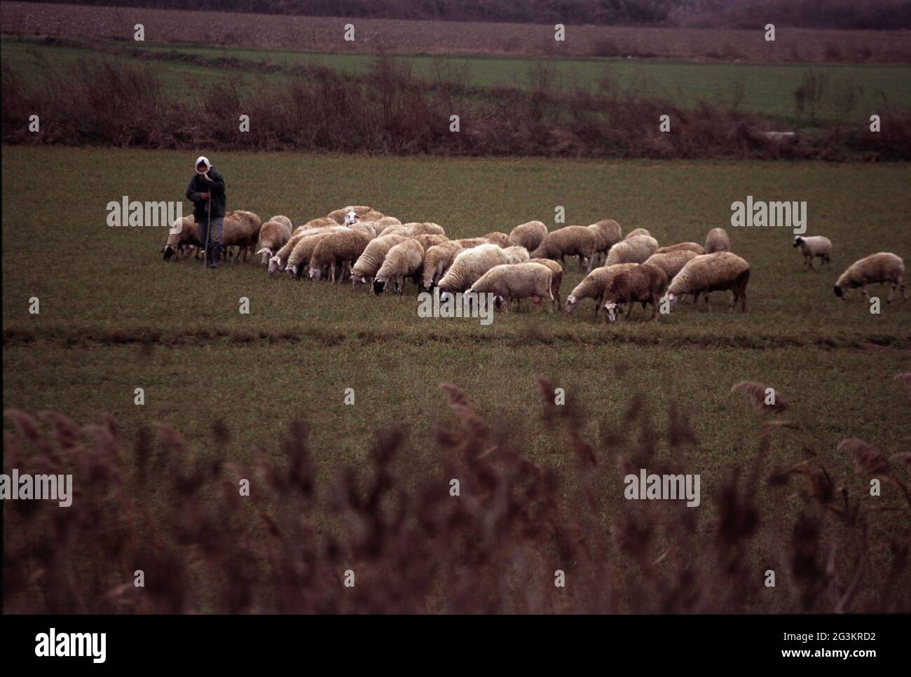 Axios delta national park hi-res stock photography and images - Alamy