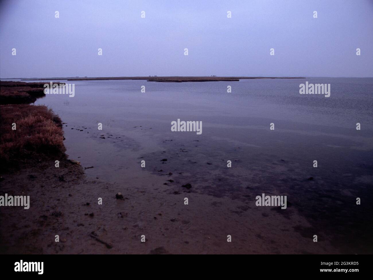 Axios Delta national park, Greece Stock Photo - Alamy