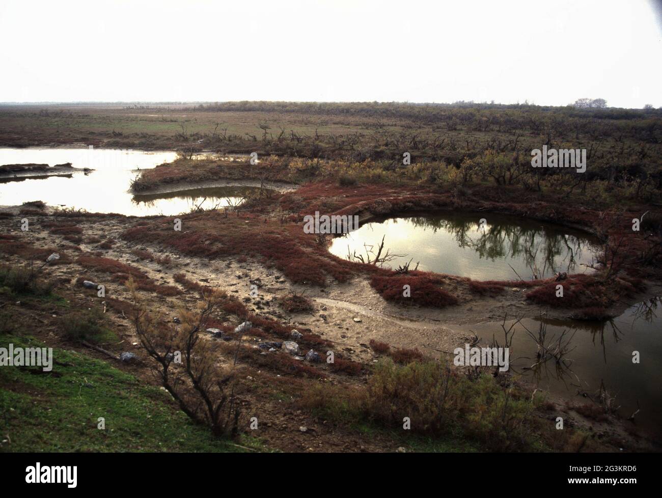 Axios national park hi-res stock photography and images - Alamy