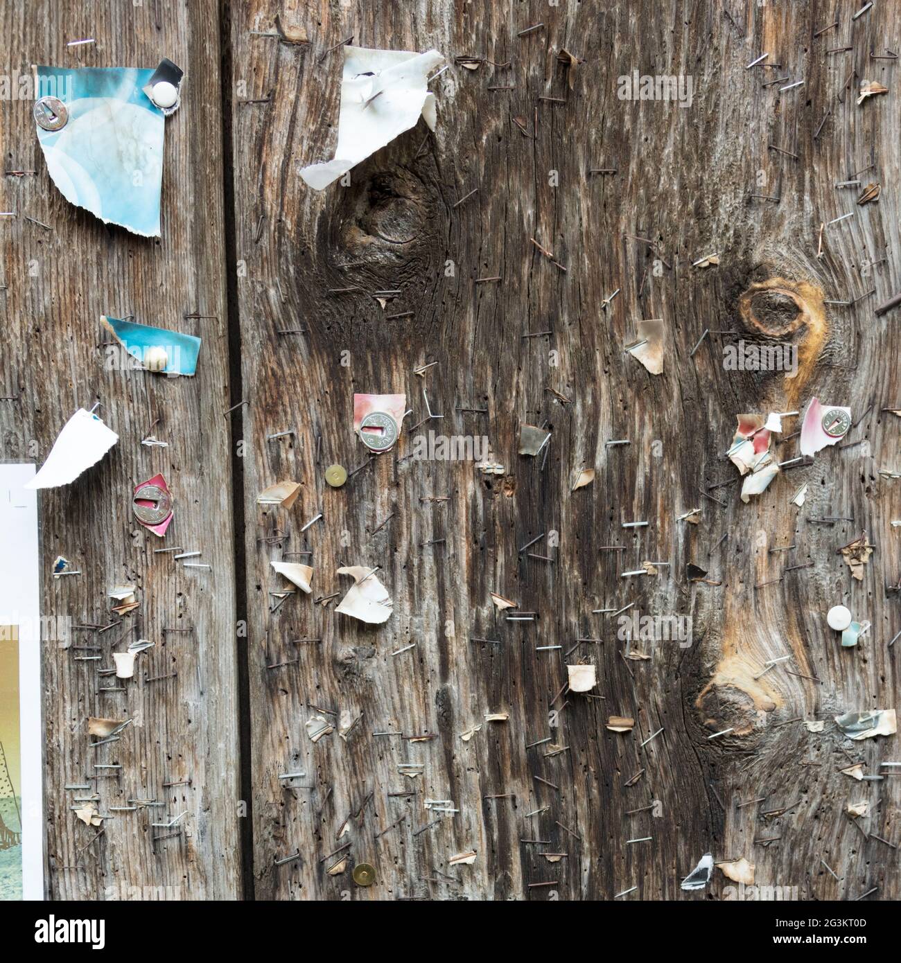 Wooden panel full of pushpins and staples Stock Photo - Alamy