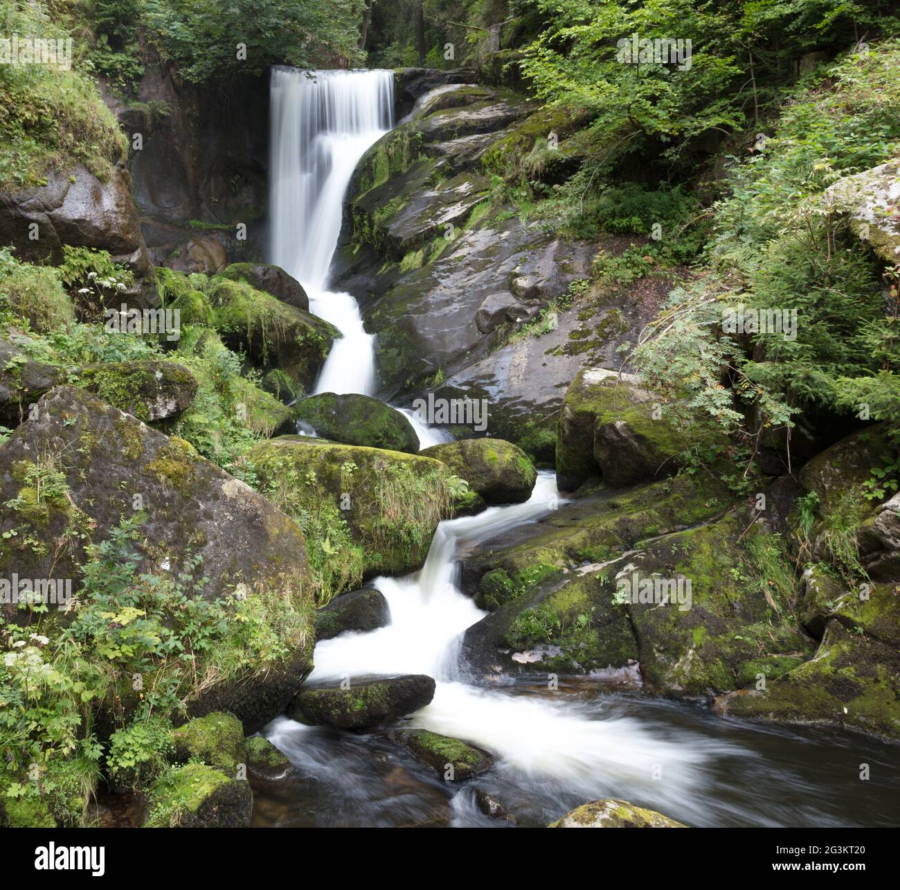 Triberg Falls, one of the highest waterfalls in Germany Stock Photo - Alamy