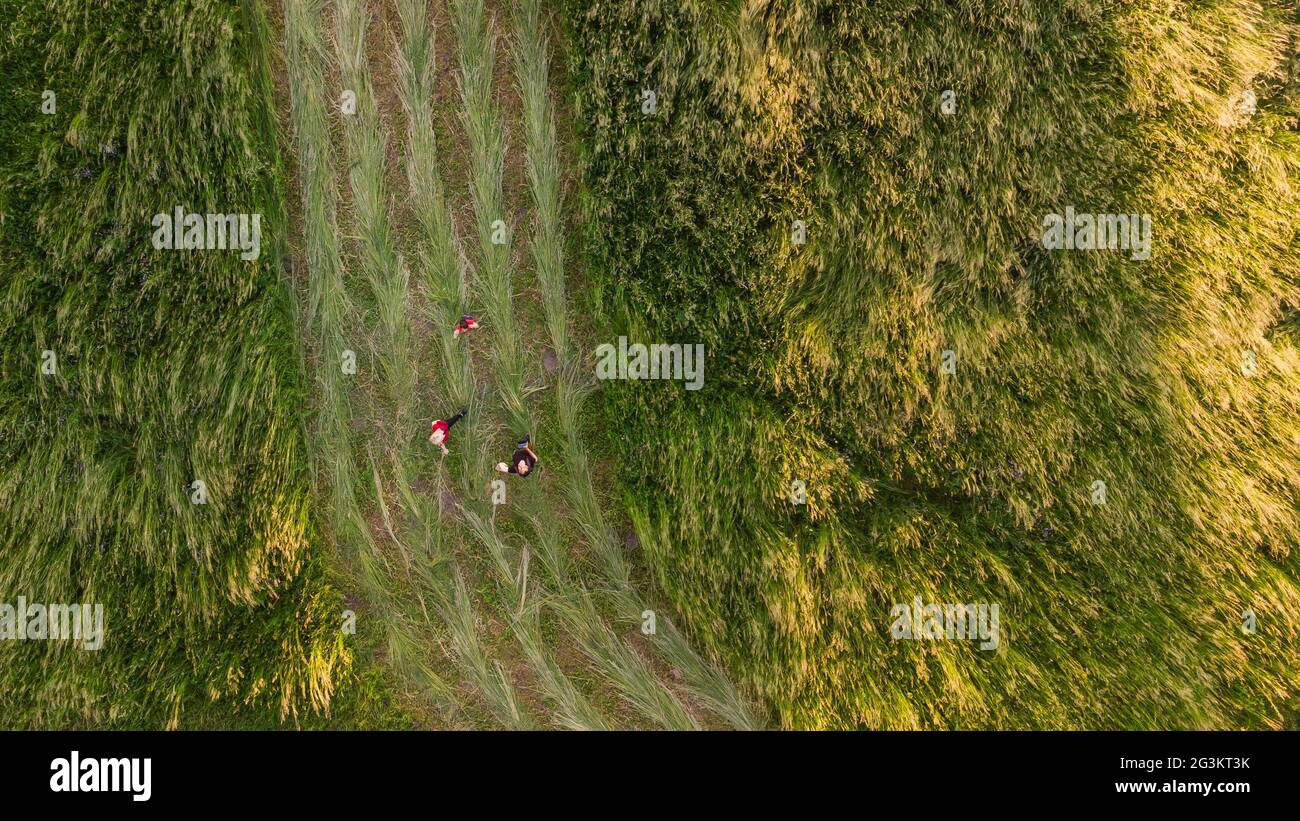 Flying above landscape design park hi-res stock photography and images ...