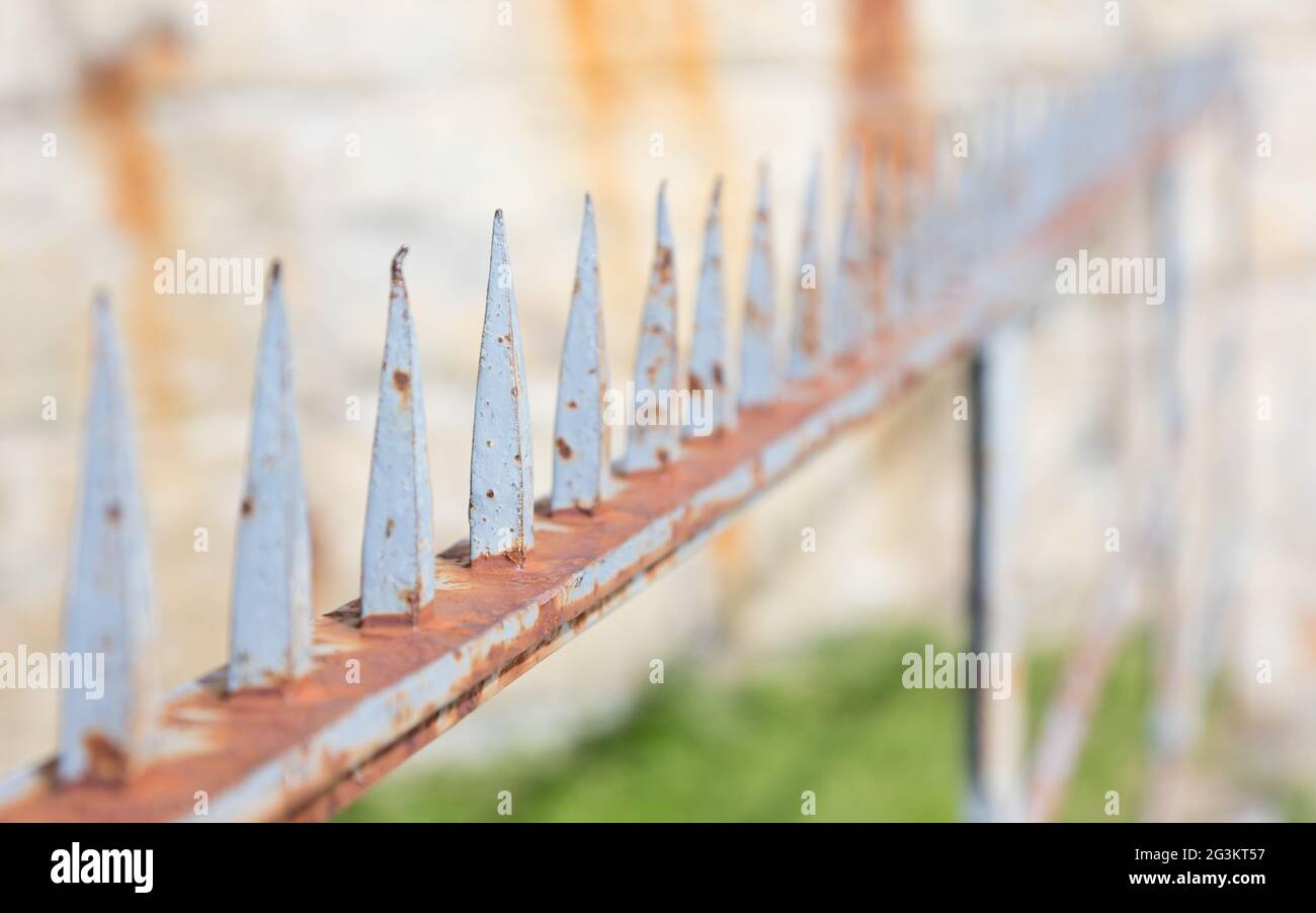 Spiked fence, rusty old spikes Stock Photo - Alamy