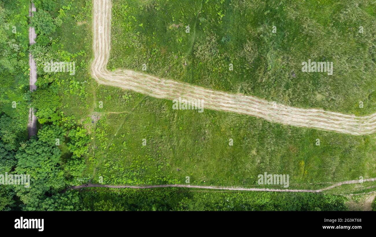 Natural grass texture, Aerial view of park Stock Photo - Alamy