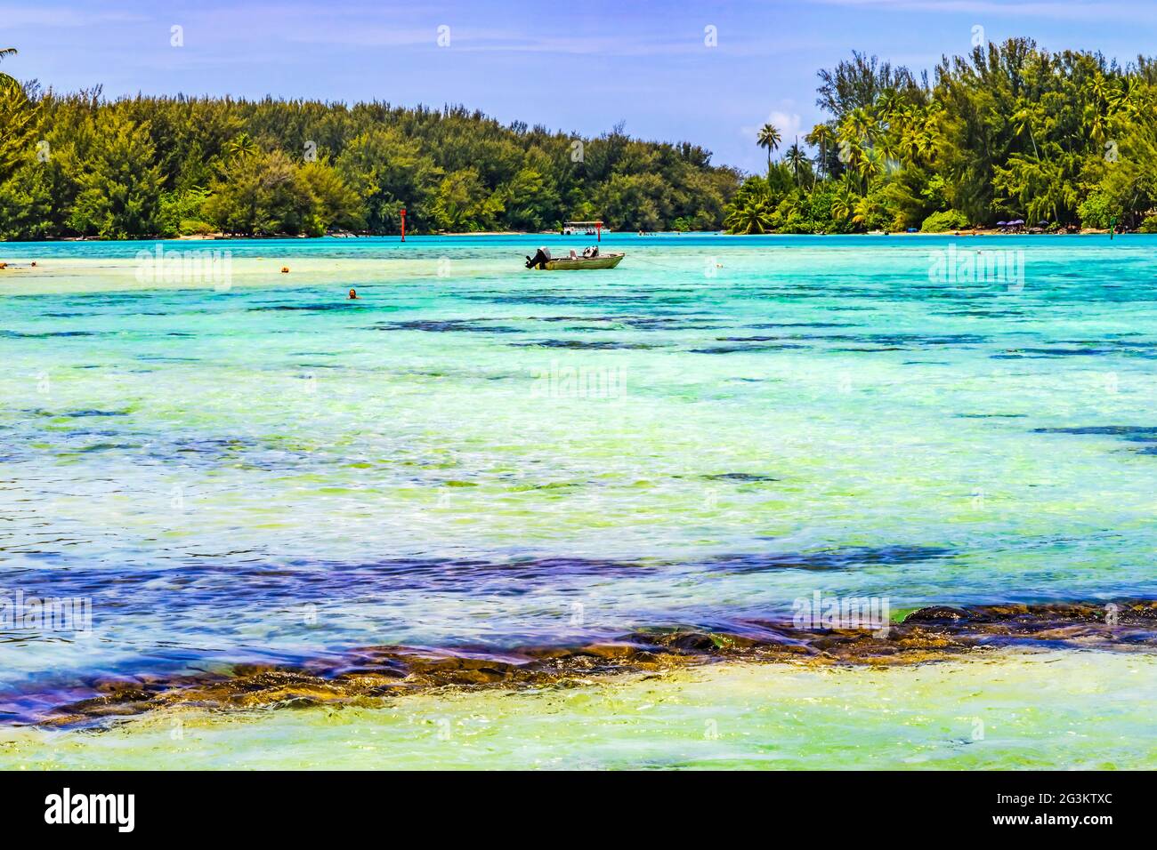 Colorful Hauru Point Beach Palm Trees Islands Coconut Blue Water Moorea ...