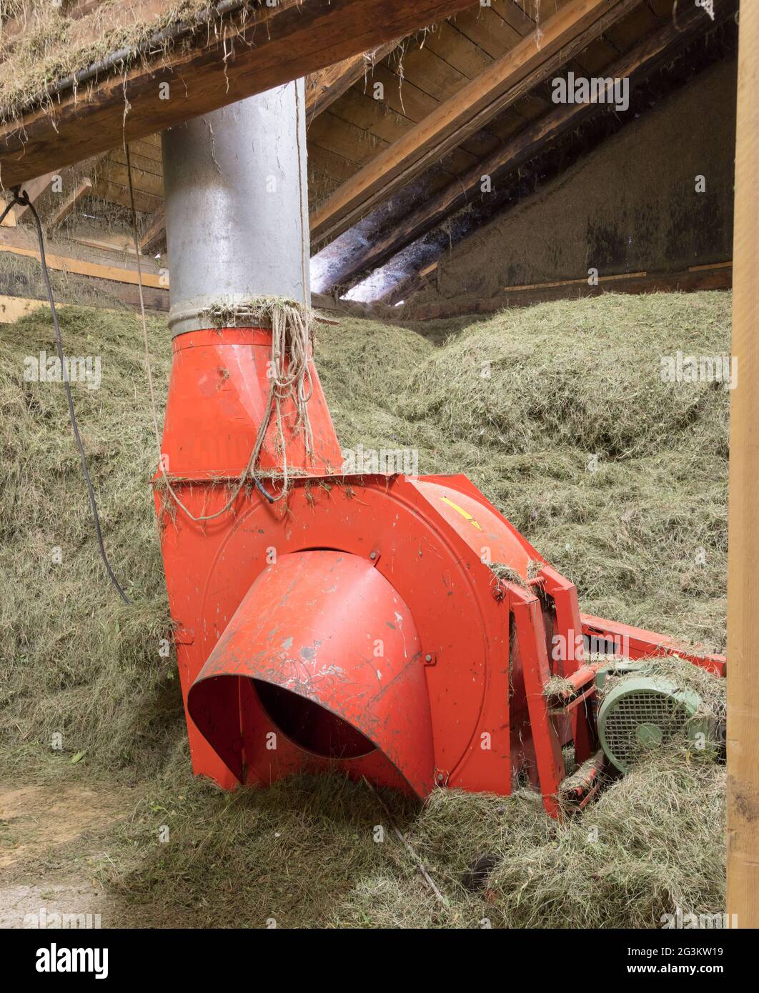 Cow food making machine hi-res stock photography and images - Alamy