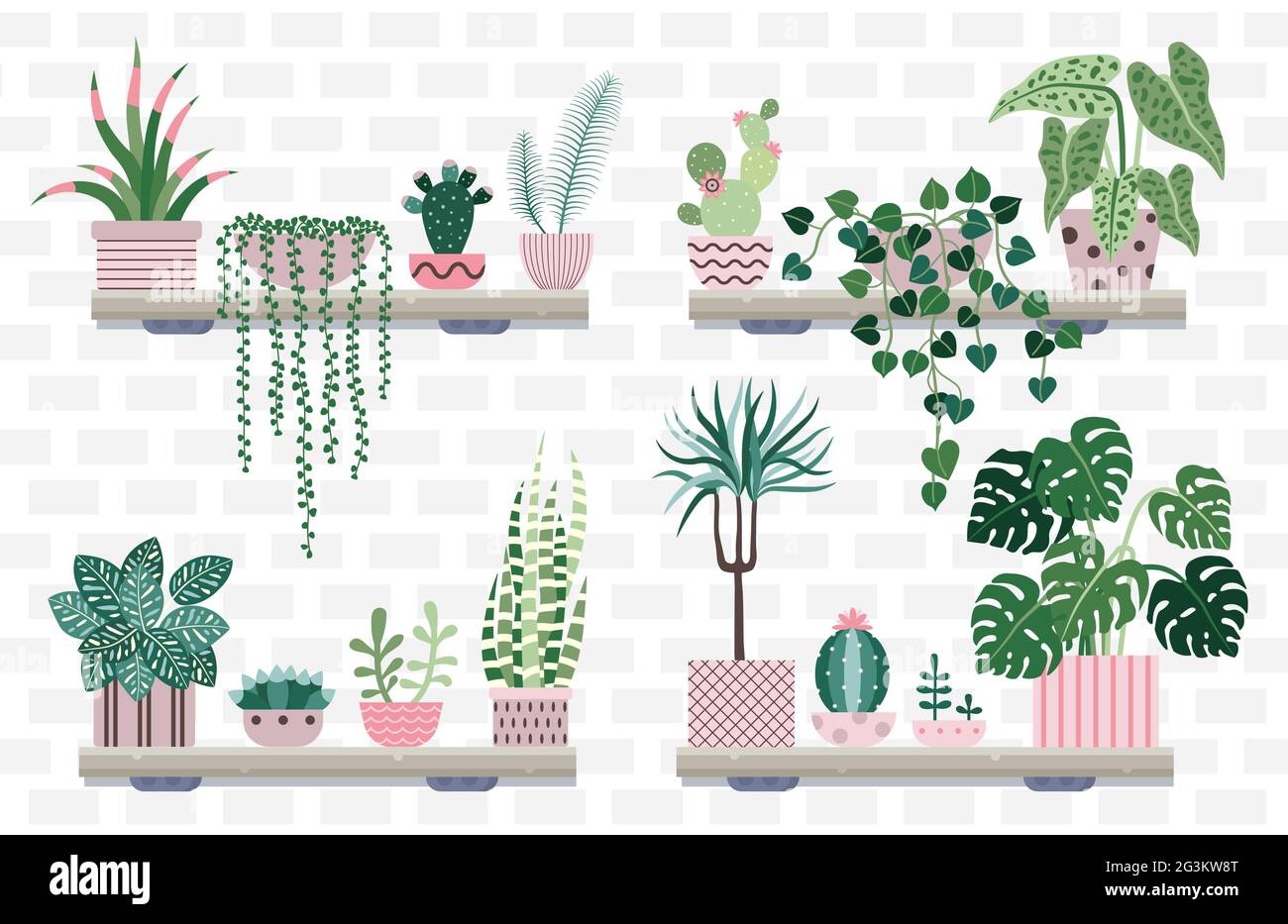 Background cacti flowers Stock Vector Images - Alamy