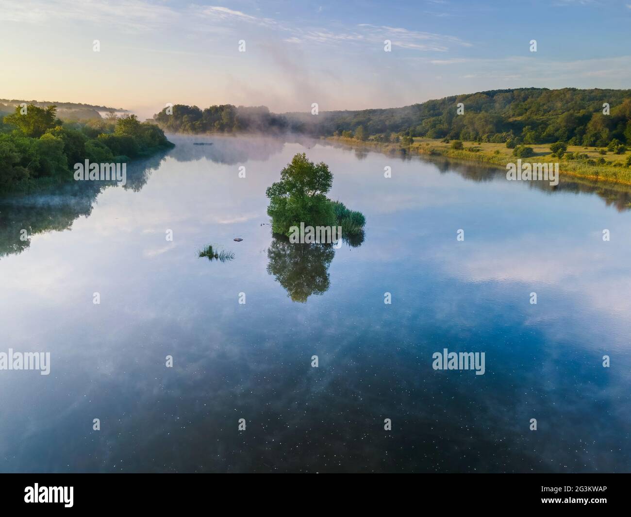 Southern bug hi-res stock photography and images - Alamy