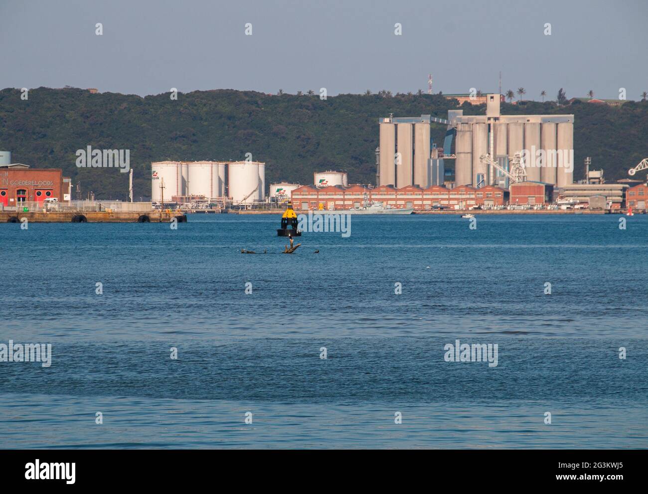 Storage silos across harbour with bluff in background Stock Photo - Alamy