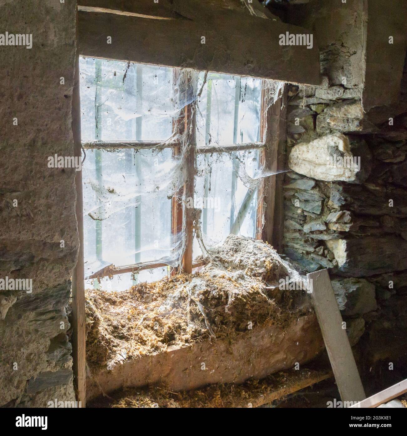 Rotten window frame interior hi-res stock photography and images - Alamy