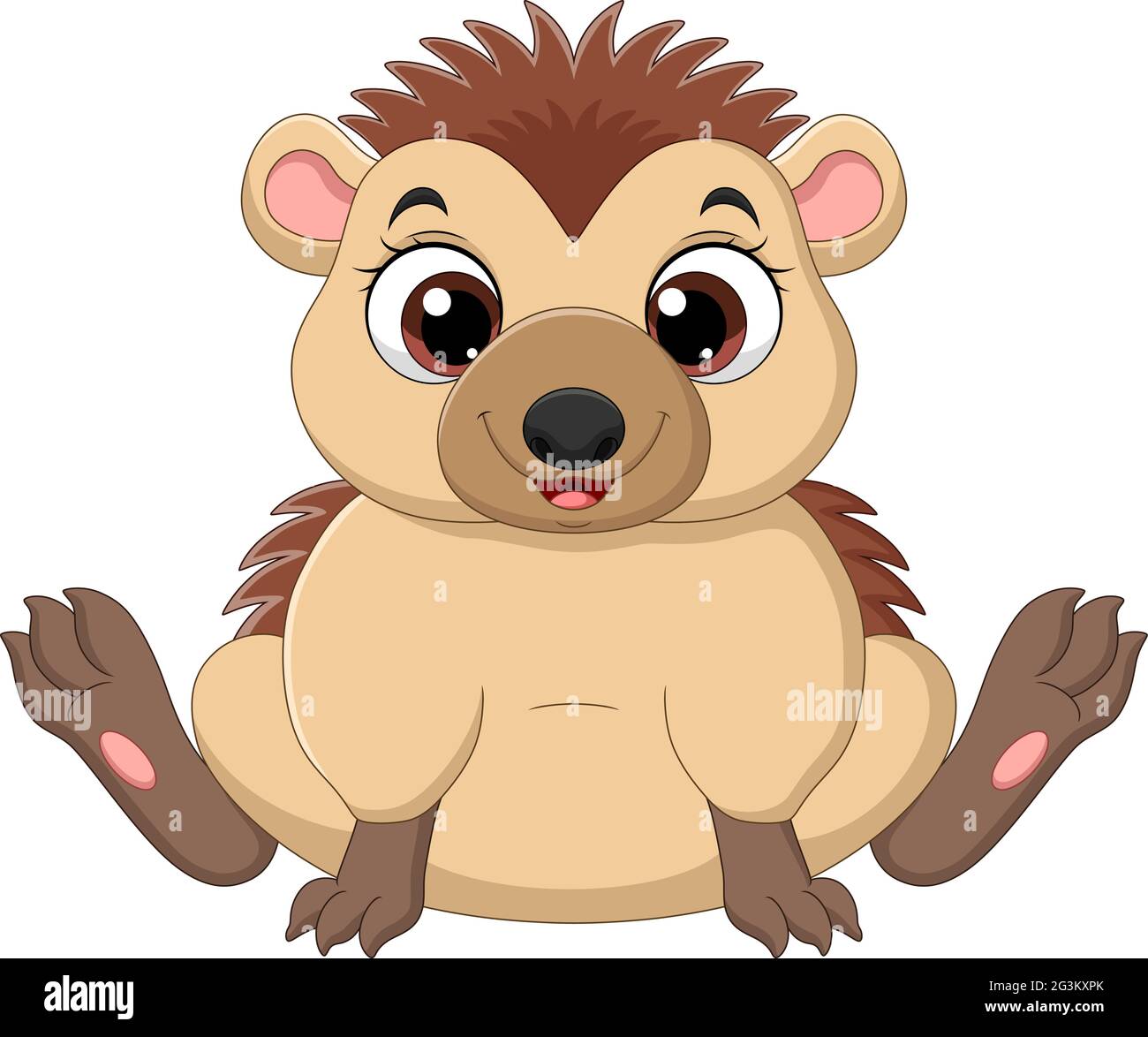 Baby Hedgehog Cartoon