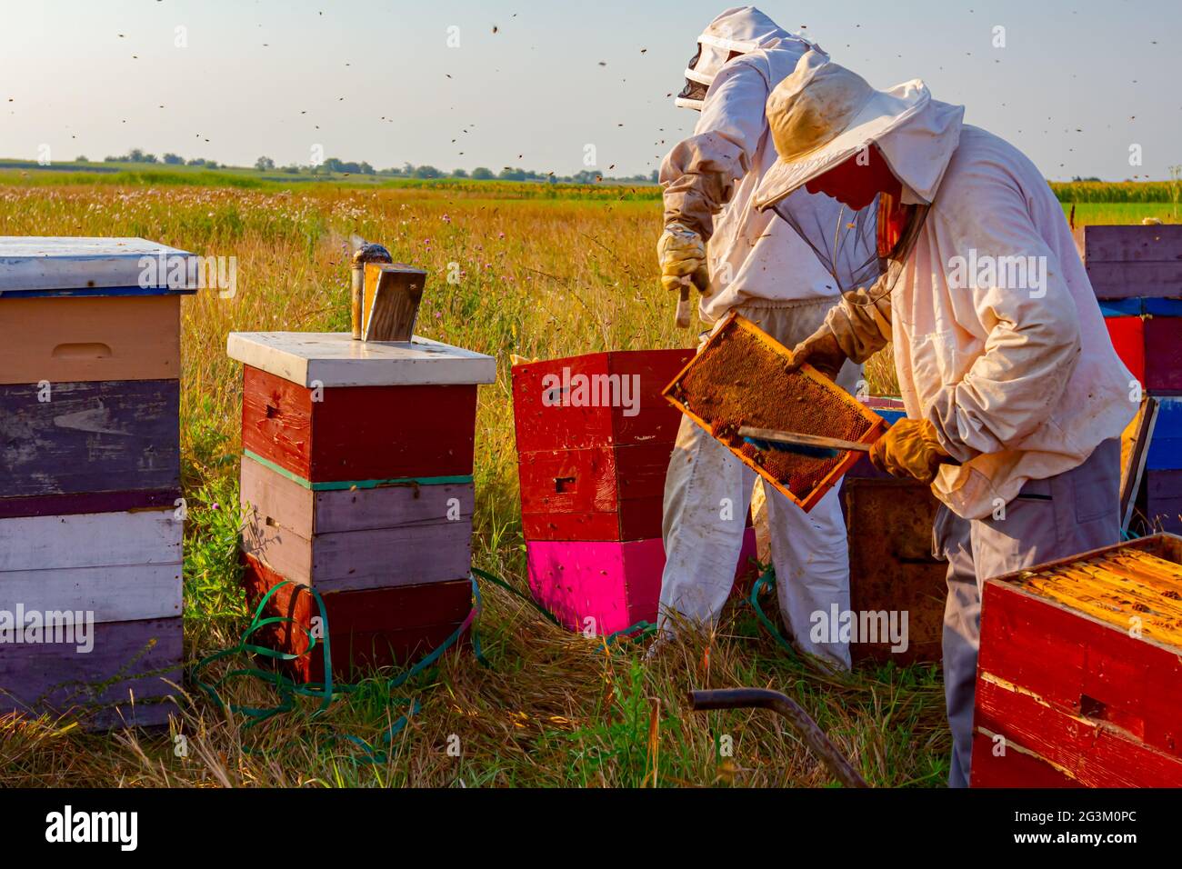 Beehive cart hi-res stock photography and images - Alamy