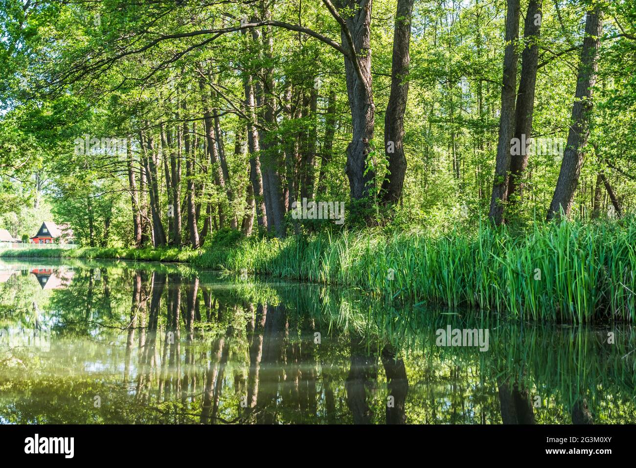 Spree forest canal hi-res stock photography and images - Alamy