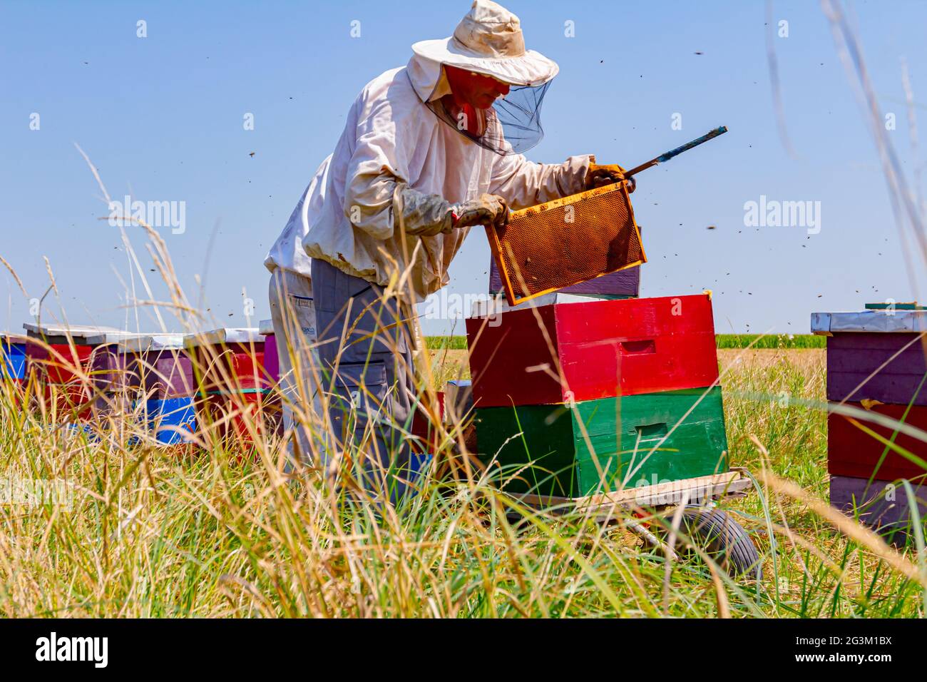 Beehive cart hi-res stock photography and images - Alamy