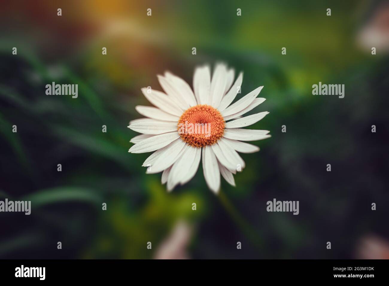 Retro colors hi-res stock photography and images - Alamy