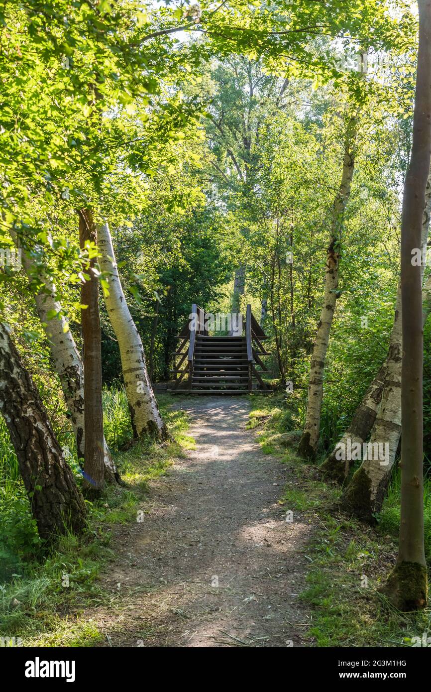 Spree oak hi-res stock photography and images - Alamy