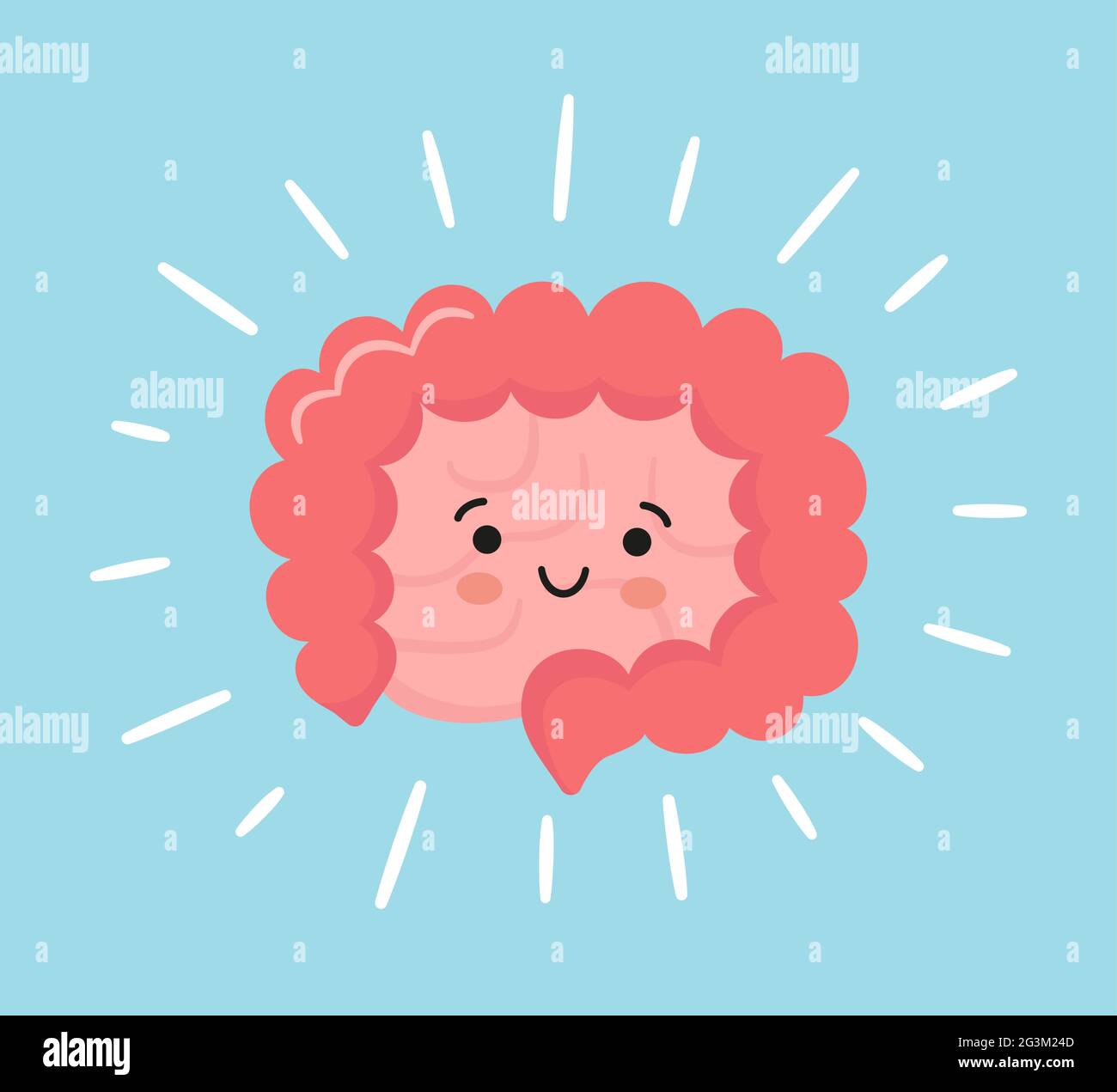 Digestive small large intestine drawing hi-res stock photography and ...