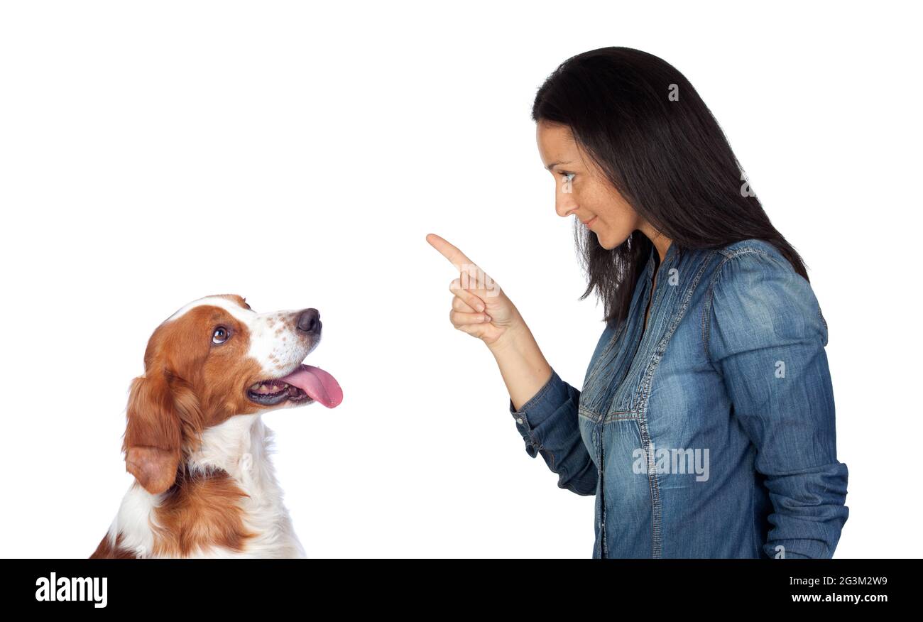 Woman telling off and pointing her index finger at her dog Stock Photo ...