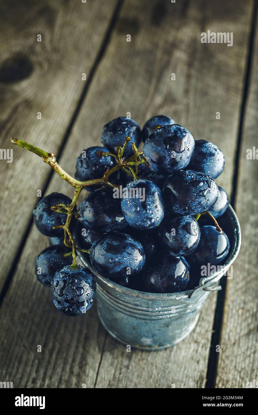 Blue grapes in small bucket Stock Photo - Alamy