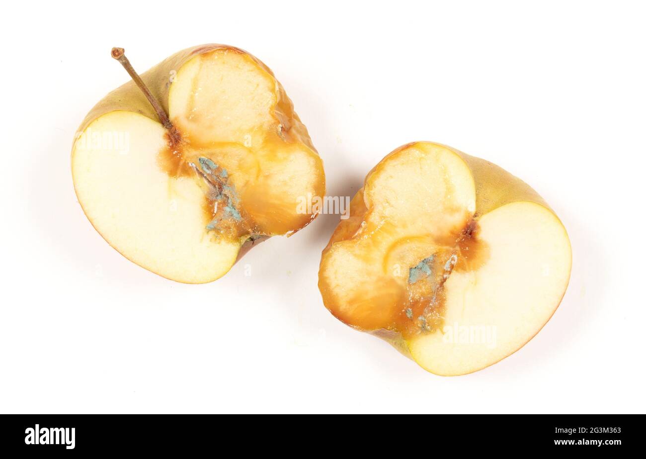 Rotten apple isolated on a white background Stock Photo - Alamy