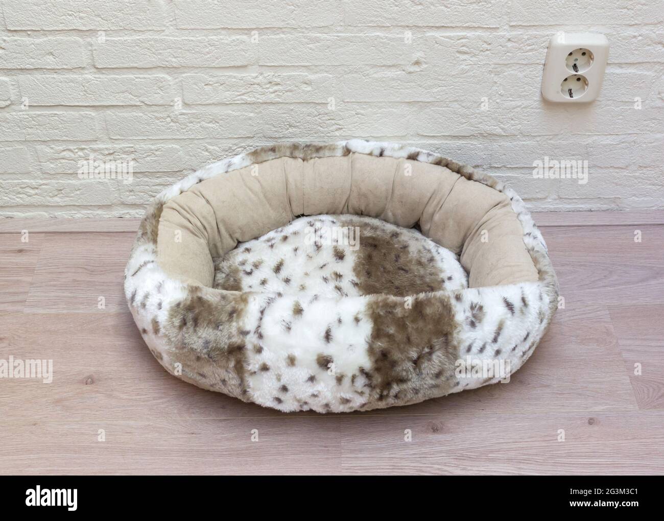Fluffy basket for a cat Stock Photo - Alamy