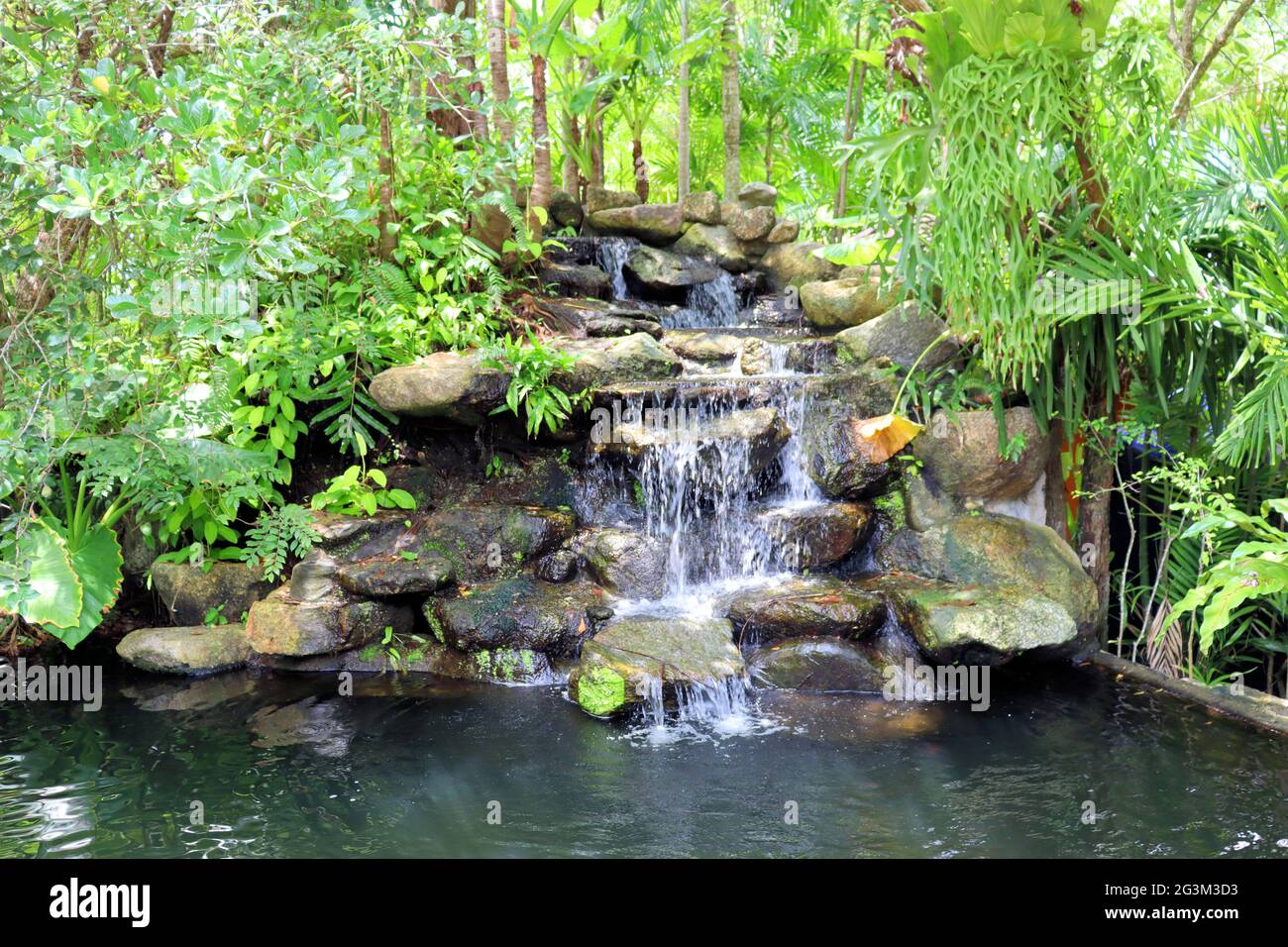 Tropical park design, fountain and pond with waterfall Stock Photo - Alamy