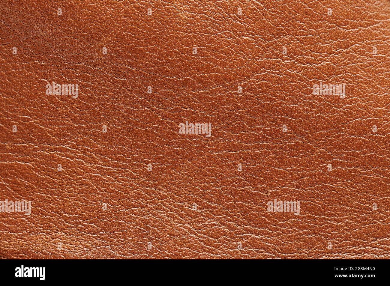 Flat brown skin texture surface macro close up view Stock Photo - Alamy
