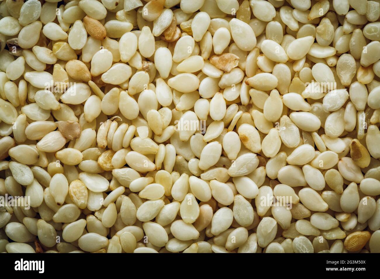 White sesame seeds macro Background Stock Photo - Alamy
