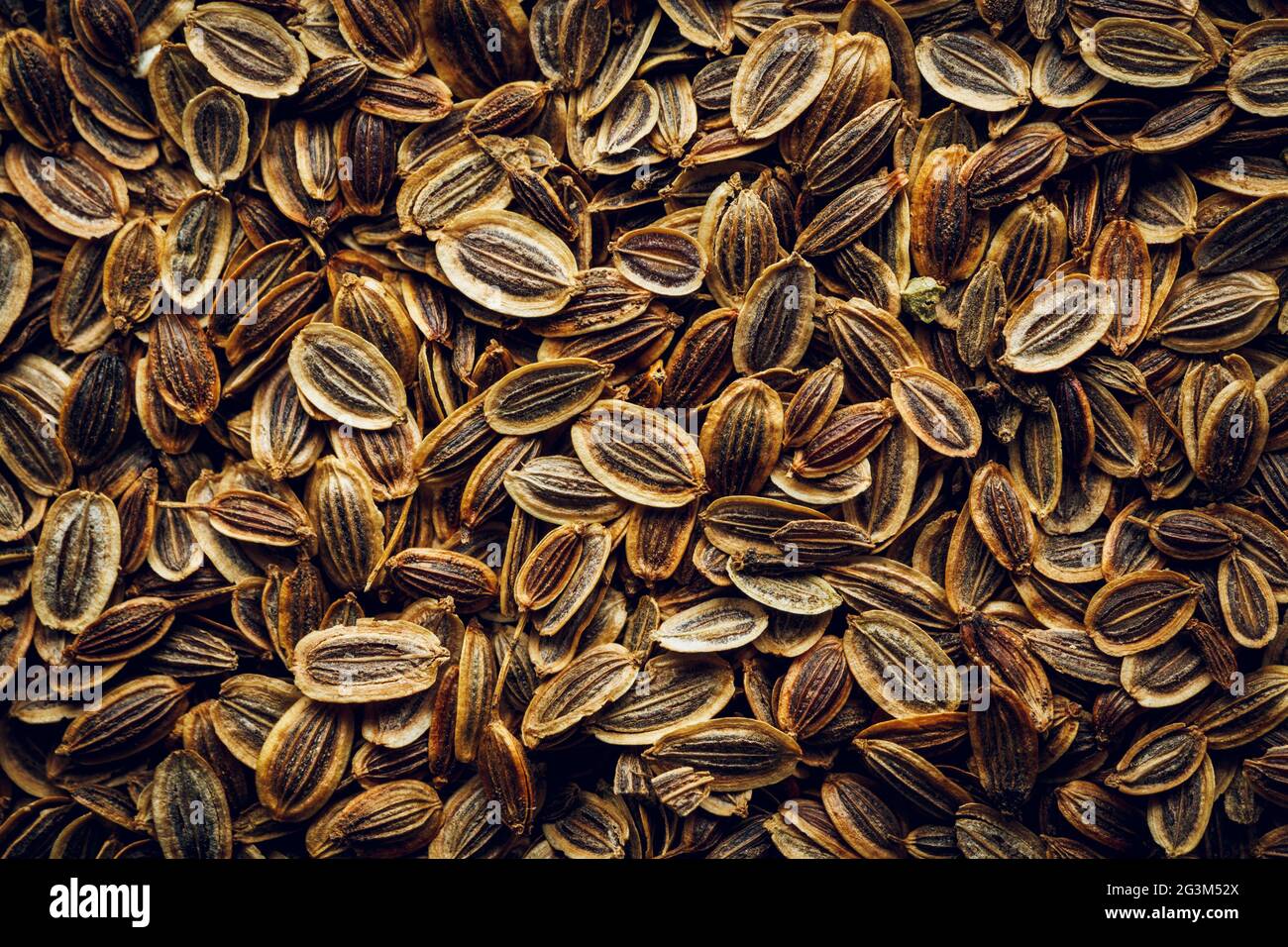 Dill seeds background hi-res stock photography and images - Alamy