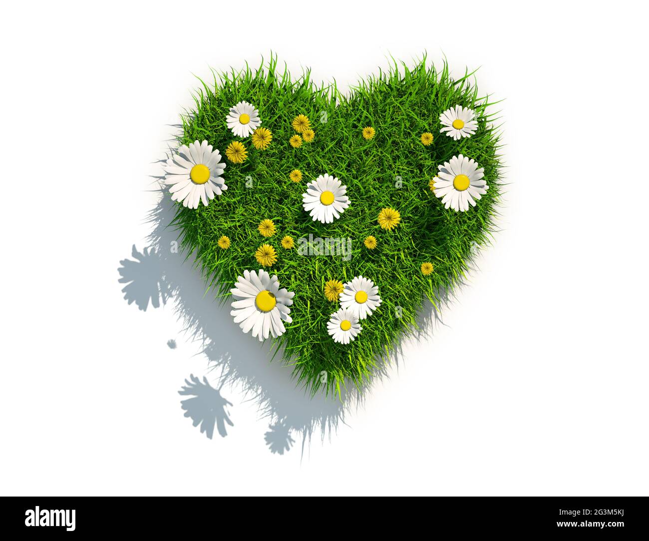 Valentine grass heart on white background Stock Photo - Alamy
