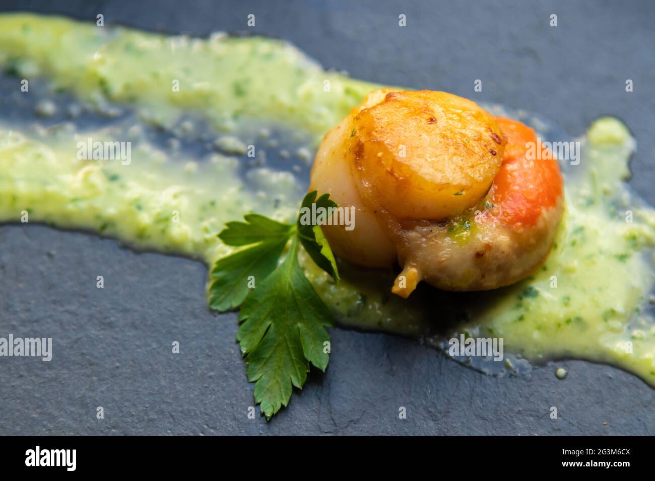 Variegated scallops hi-res stock photography and images - Alamy