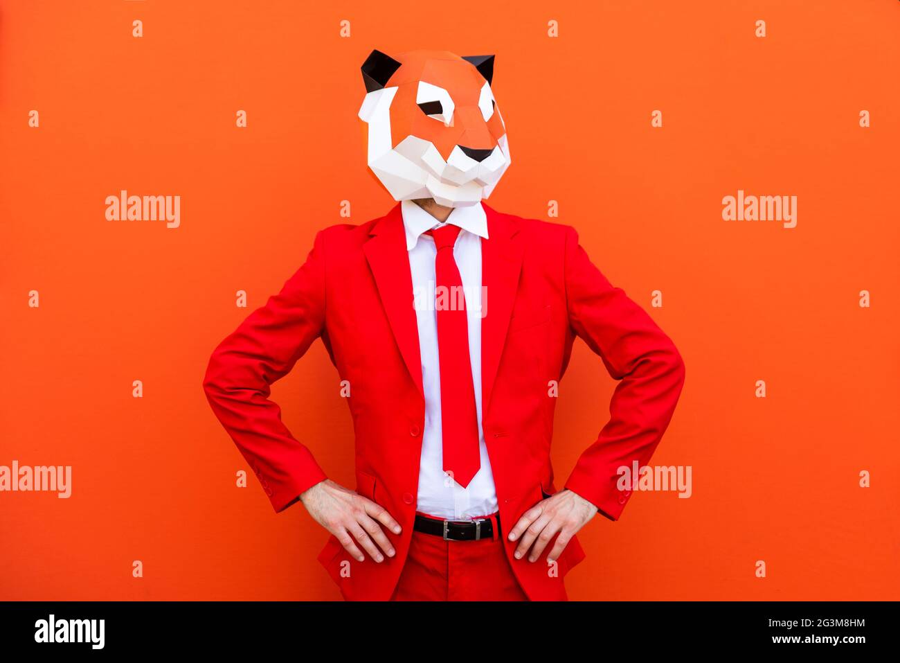 Cool man wearing 3d origami mask with stylish colored clothes ...