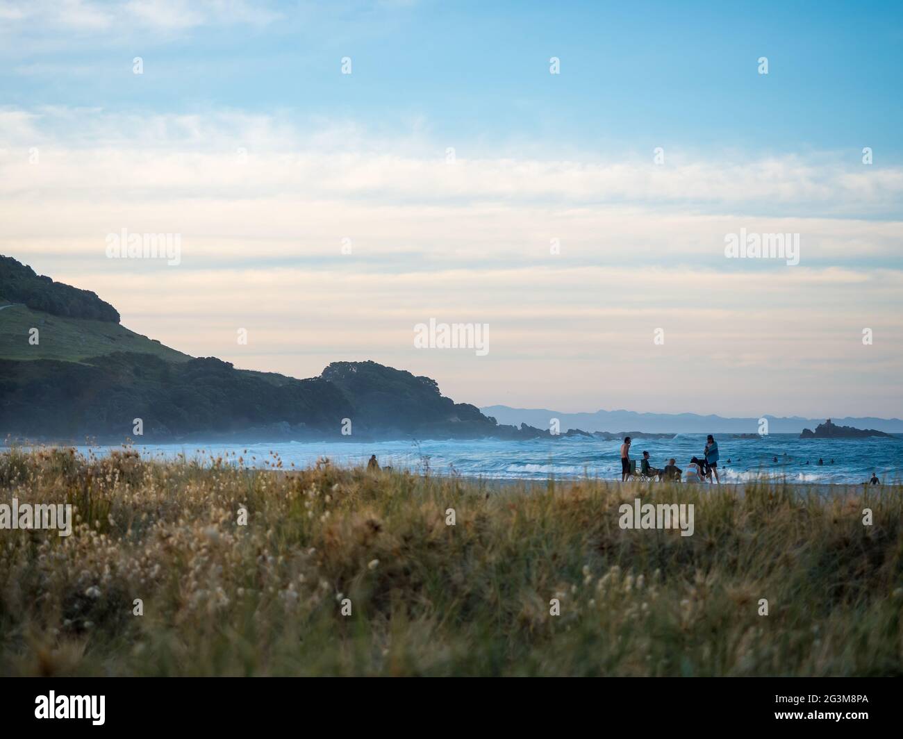 The view of Tauranga and mount manganui from Mauoa Stock Photo - Alamy