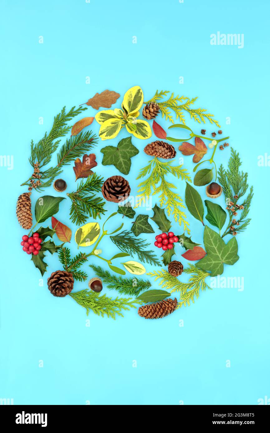 Natural European winter flora and greenery in a round globe shape on ...