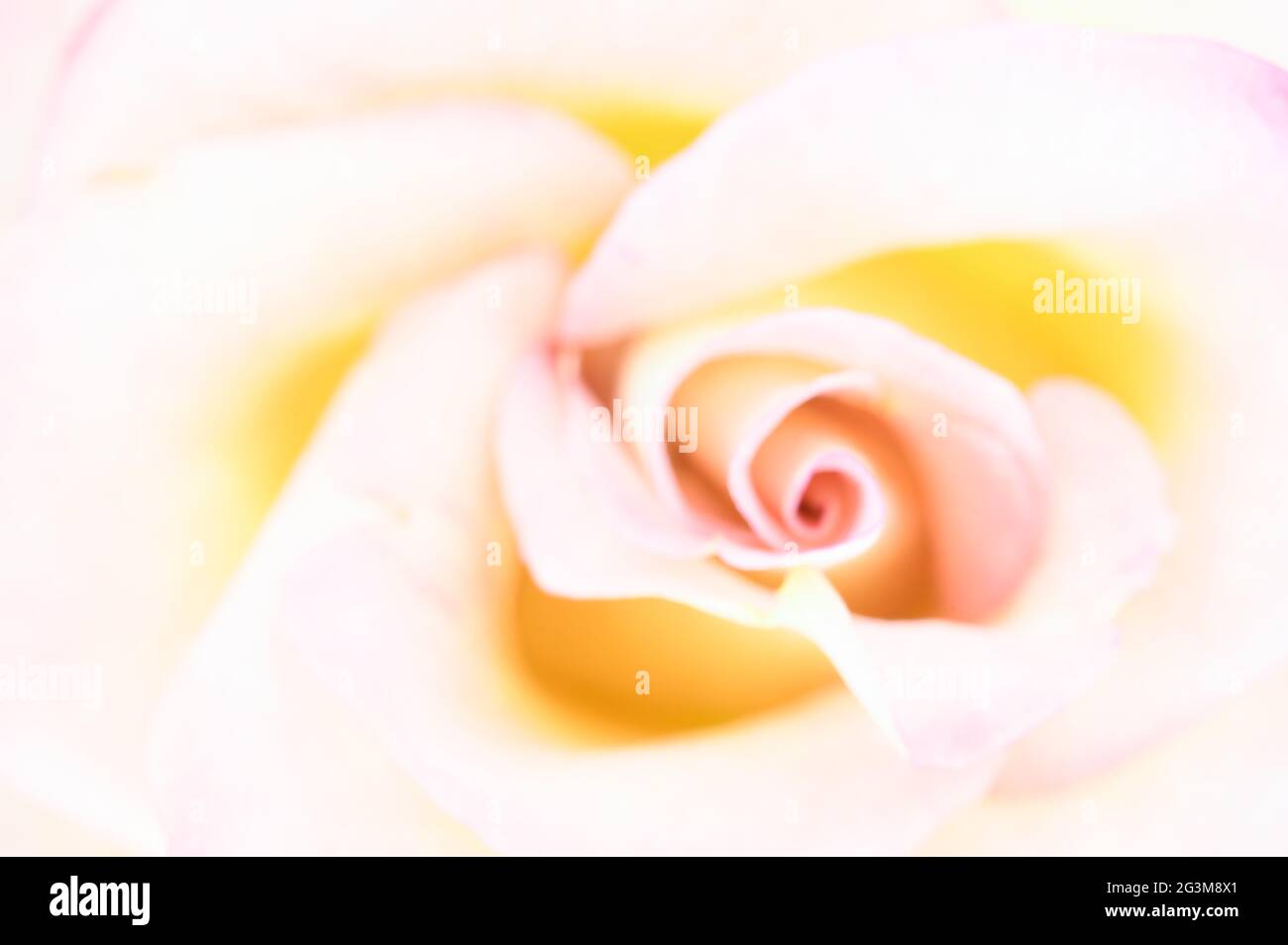 Soft color exposure hi-res stock photography and images - Alamy