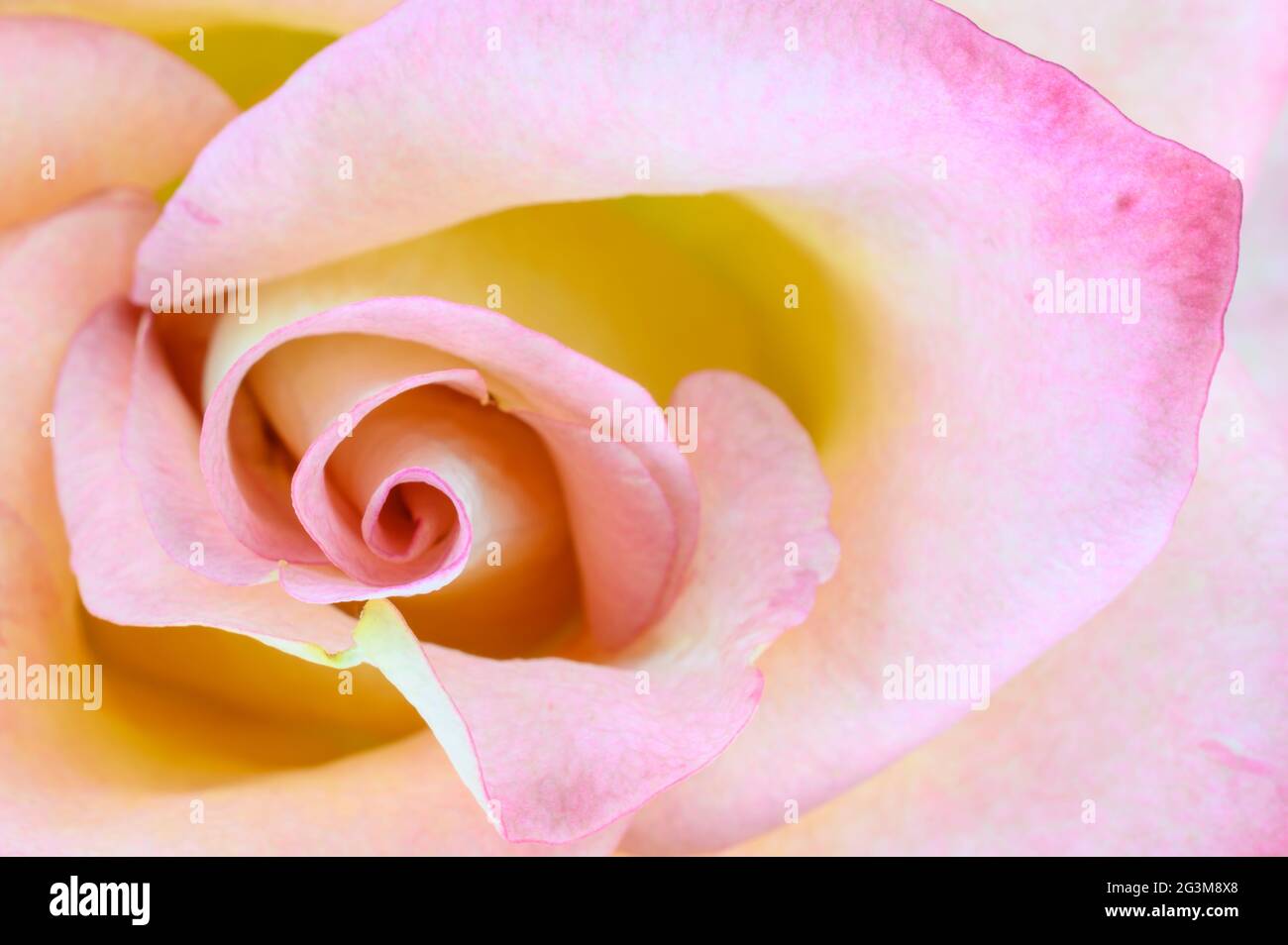 Depth shape hi-res stock photography and images - Alamy