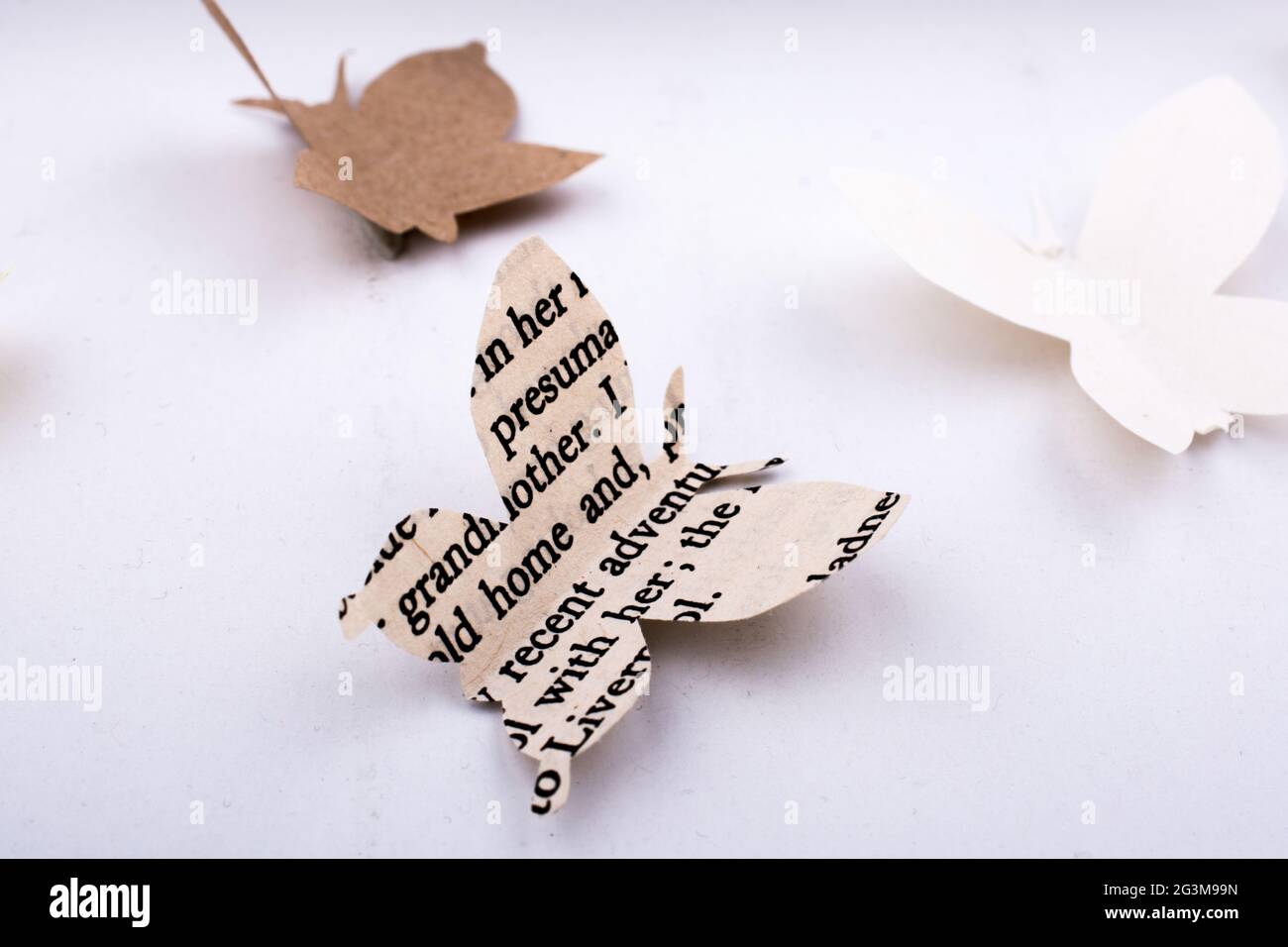 Type cut out hi-res stock photography and images - Alamy