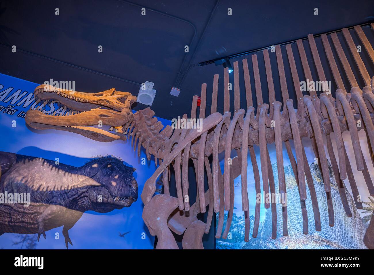 Lampang, Thailand - Feb 24, 2021: Fossil and statue of spinosaurus at Lampang Fossil Geology and ...