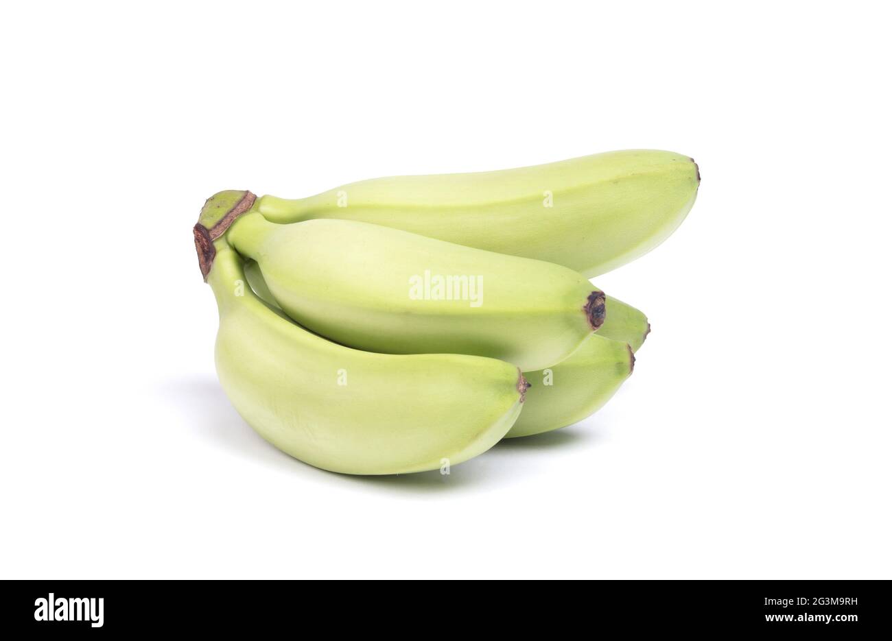 Small tropical banana cluster Stock Photo - Alamy