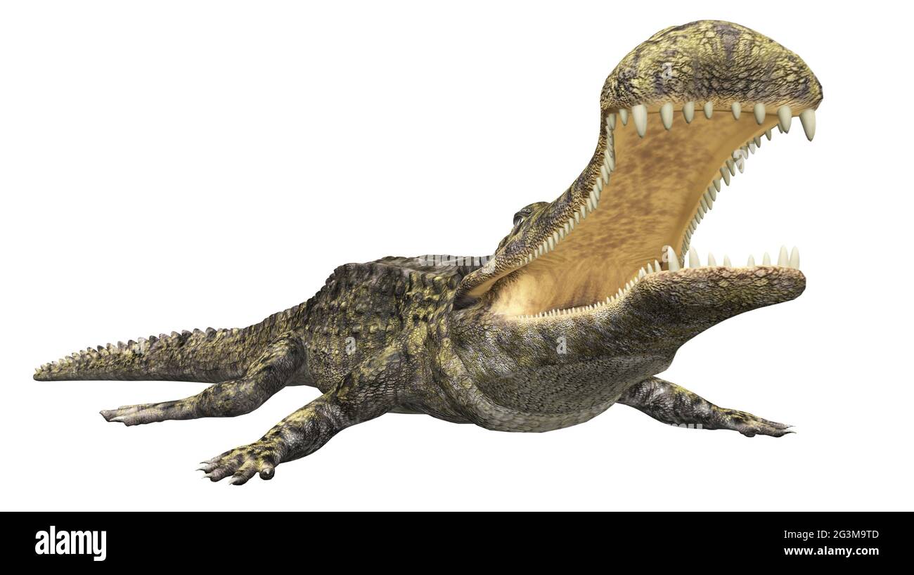 Prehistoric Crocodile