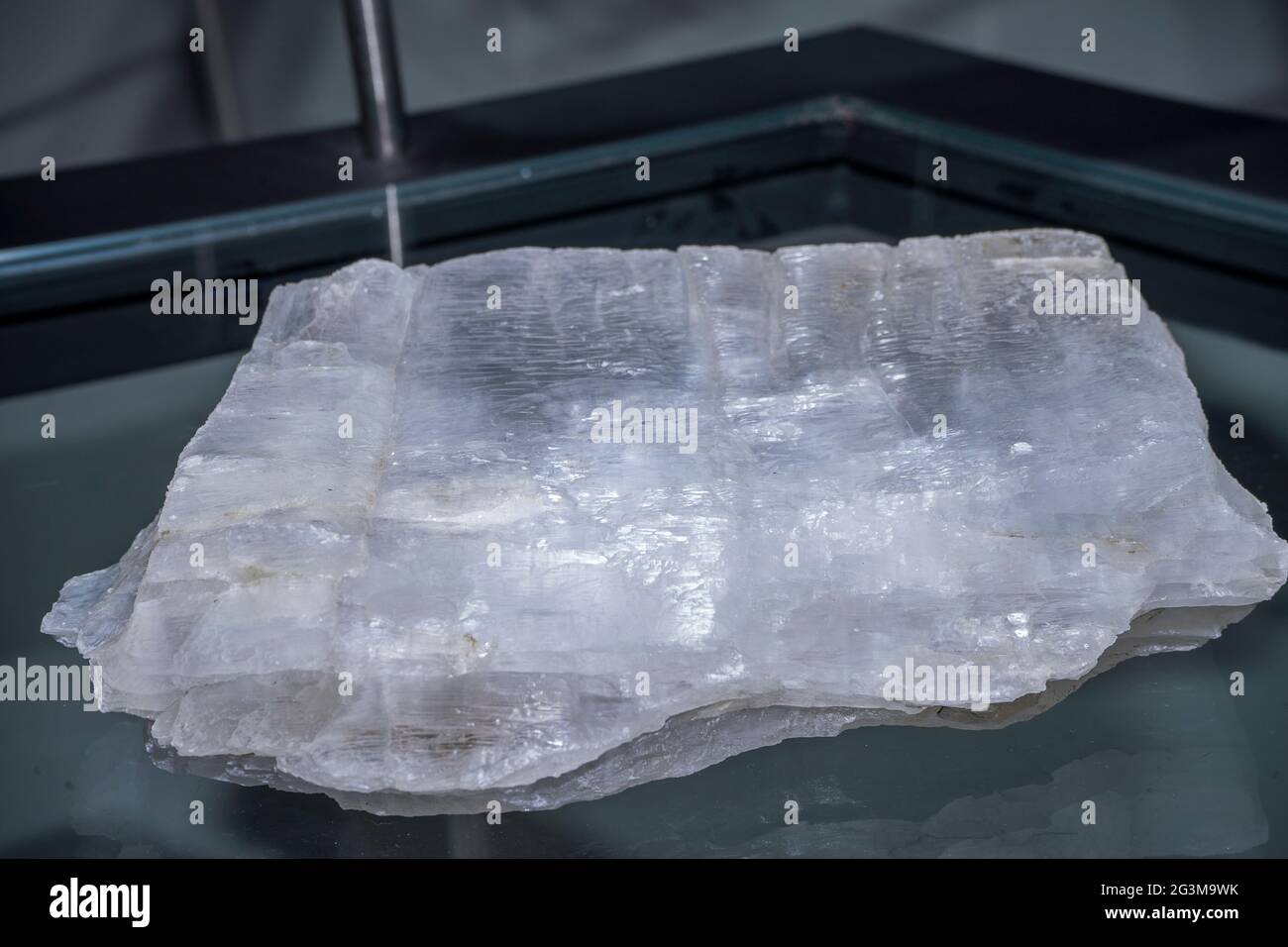 macro shooting of collection natural rock - crystal of gypsum mineral ...