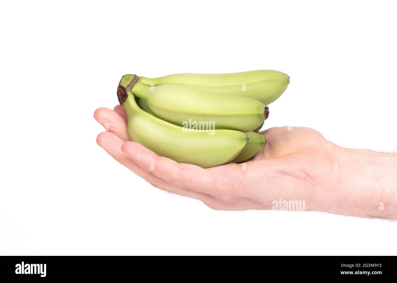 Small tropical banana cluster Stock Photo - Alamy