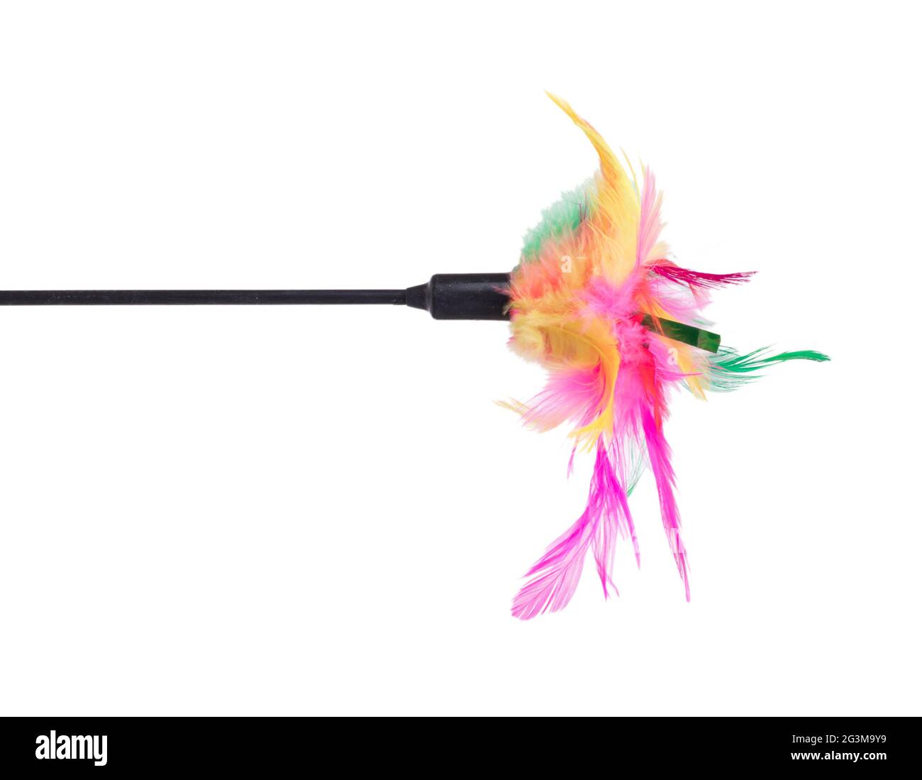Feathered pole cat toy Stock Photo - Alamy